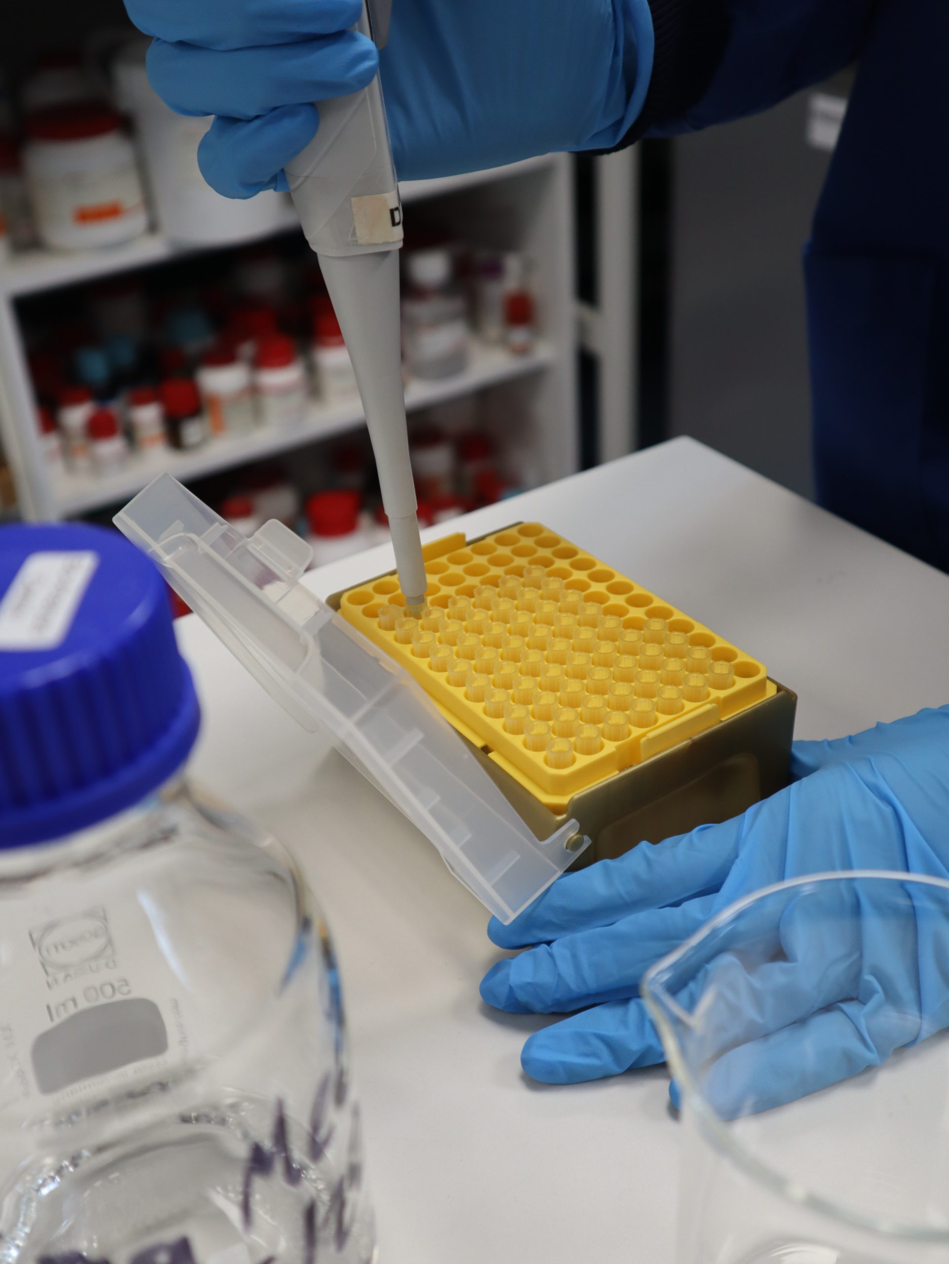 How to Prepare Calibration Curve Standards - Bio-Analysis Centre